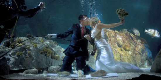 7 Extreme Weddings Article Cats