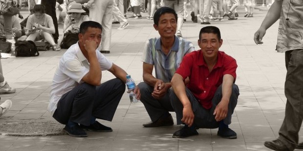 You're Doing It Wrong: Squat, Don't Sit to Poop Article Cats